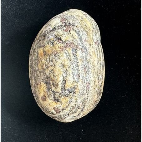 Kali Gandaki Shaligram :: Latest Shaligram Variety :: Rare shree ...